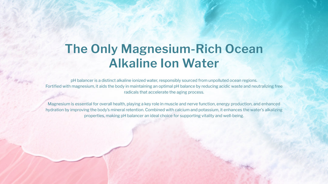 pH Balancer Magnesium Water - 24 x 420ml – phbalancer.com.sg